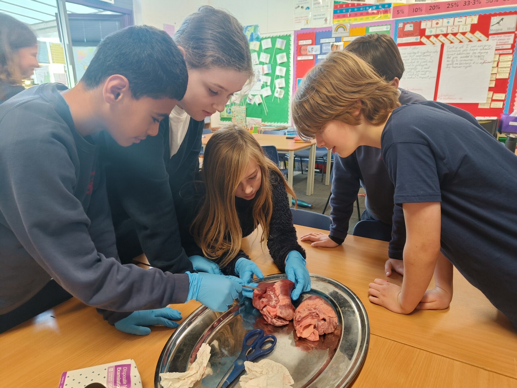 Heart Dissection - Kentish Town C of E Primary School
