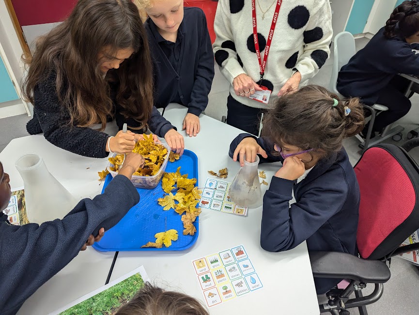 Cedar Class dig in to some science learning! - Kentish Town C of E ...